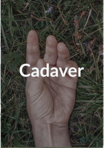 Product – Scentlogix